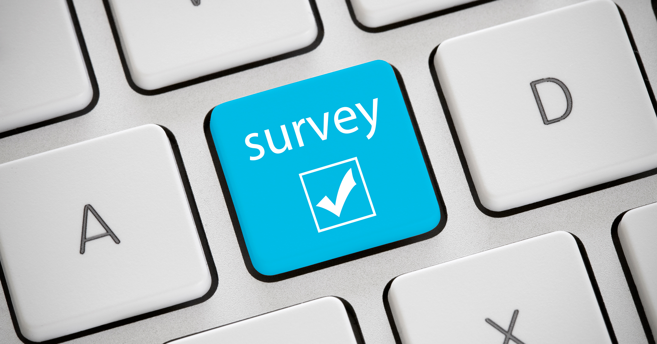 Take The Elective Reader Survey The Elective